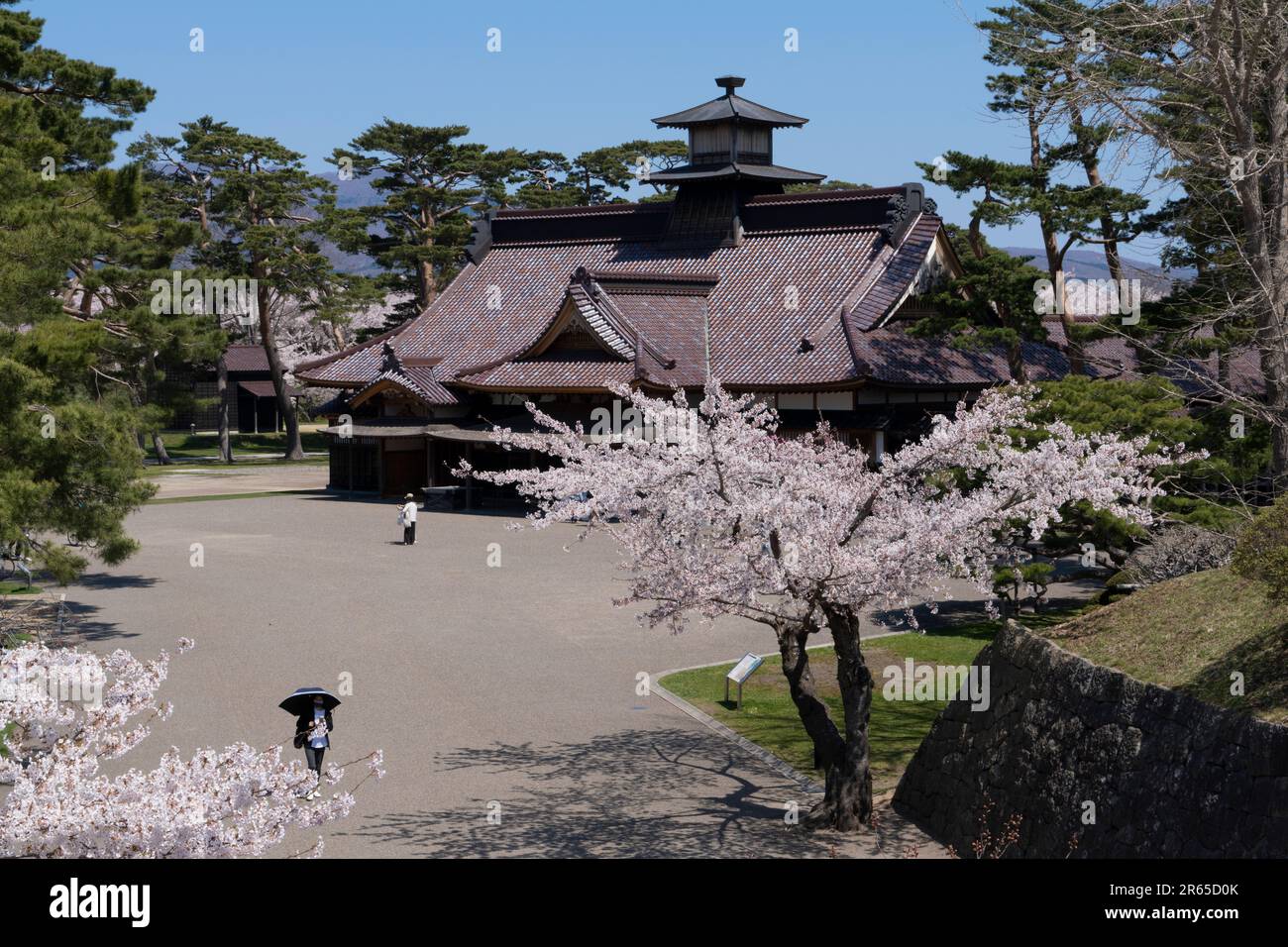 Cherry blossoms in Goryokaku Park and Hakodate Magistrate Office Stock ...