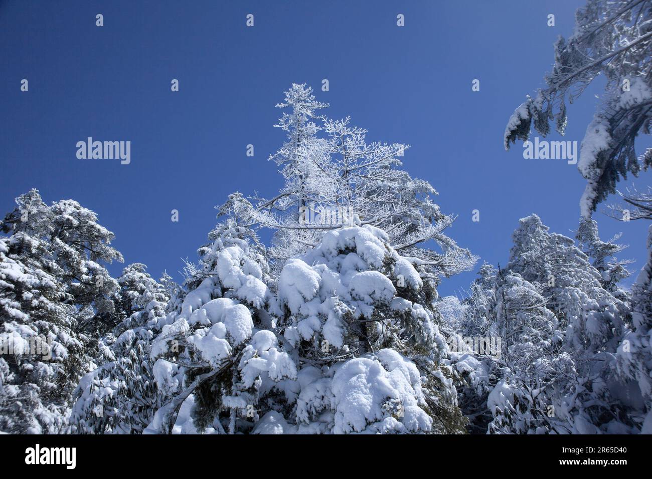 Blue sky and foggy ice Stock Photo - Alamy