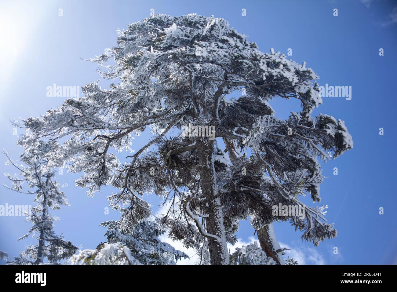 Blue sky and foggy ice Stock Photo - Alamy
