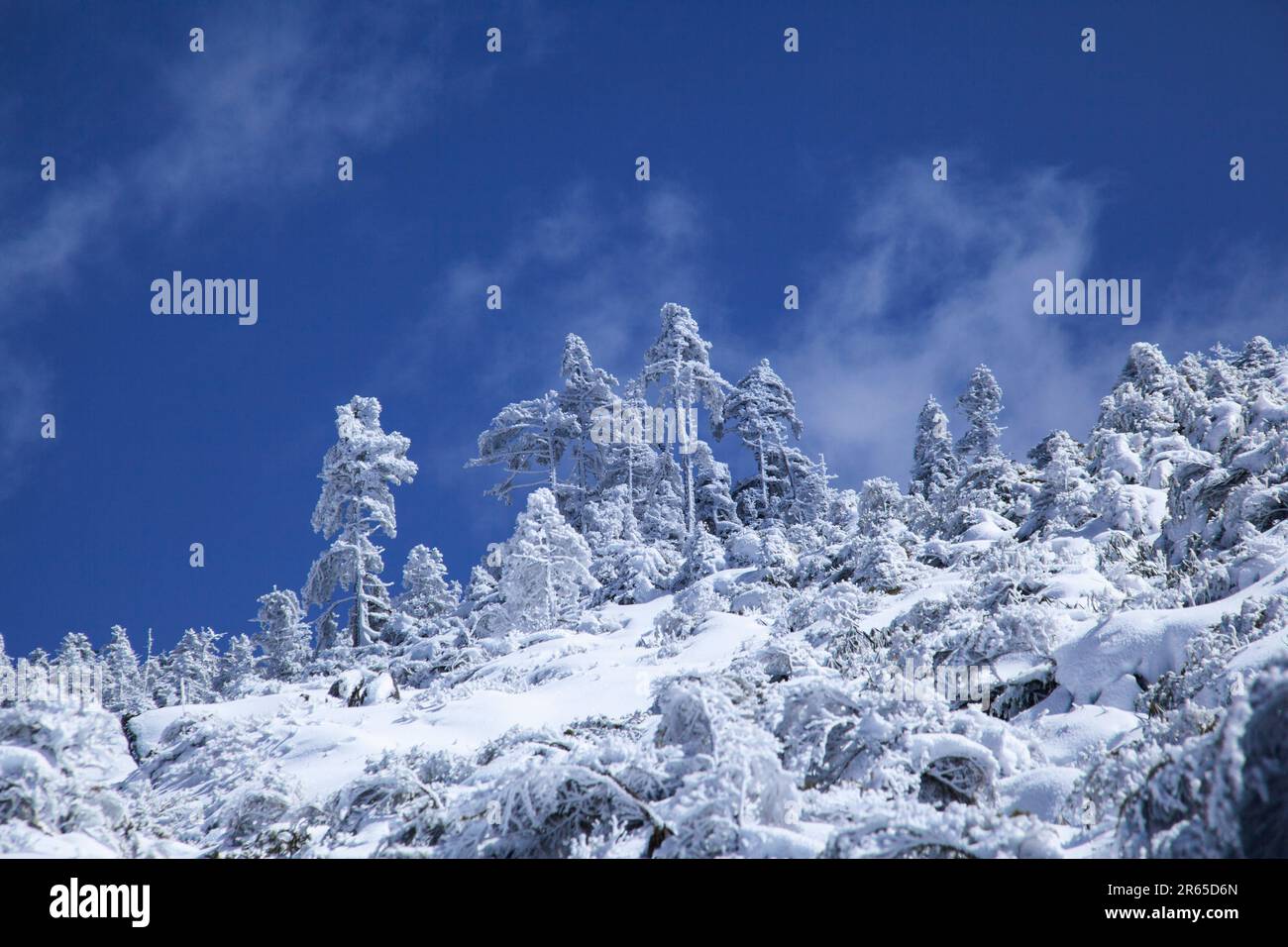 Blue sky and foggy ice Stock Photo - Alamy