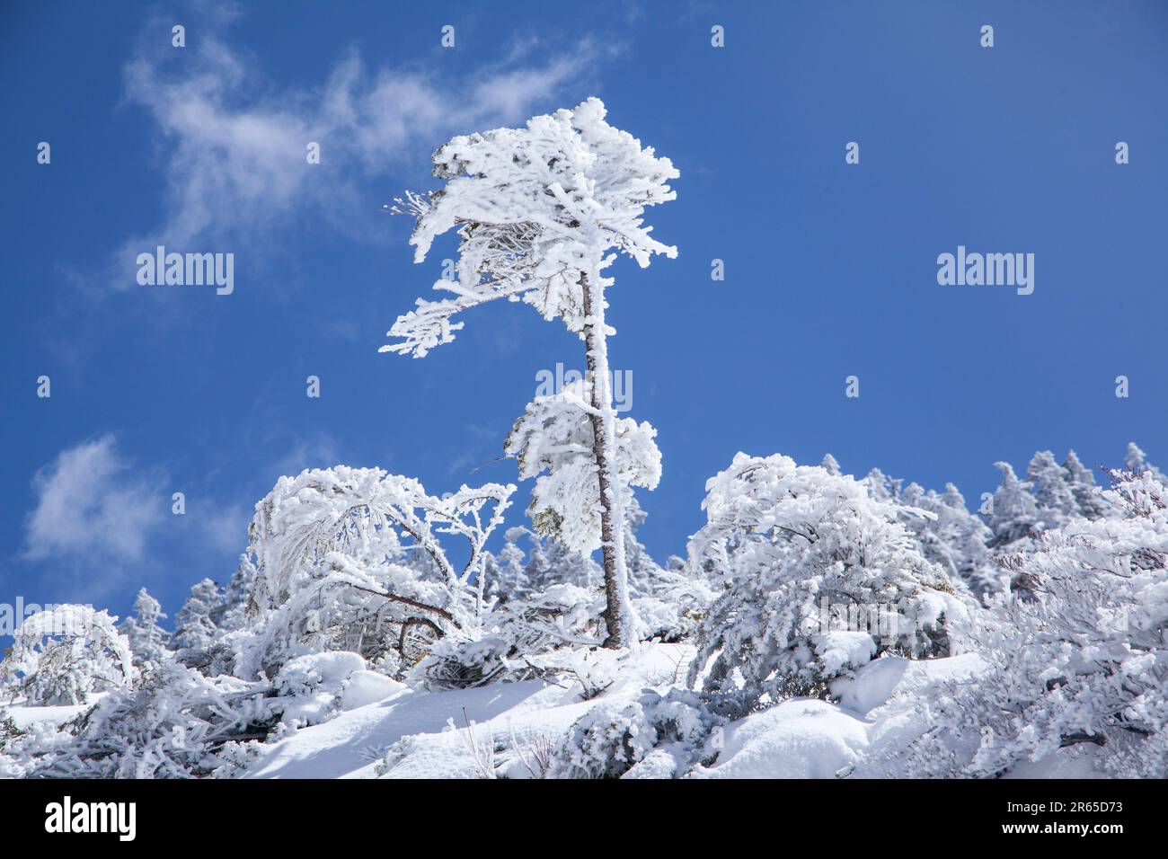 Blue sky and foggy ice Stock Photo - Alamy