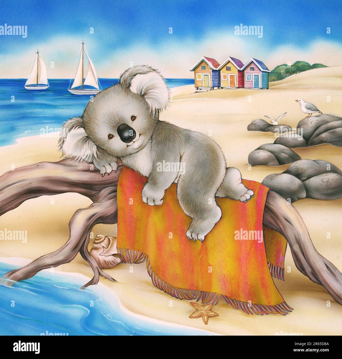 Koala on the beach hi-res stock photography and images - Alamy