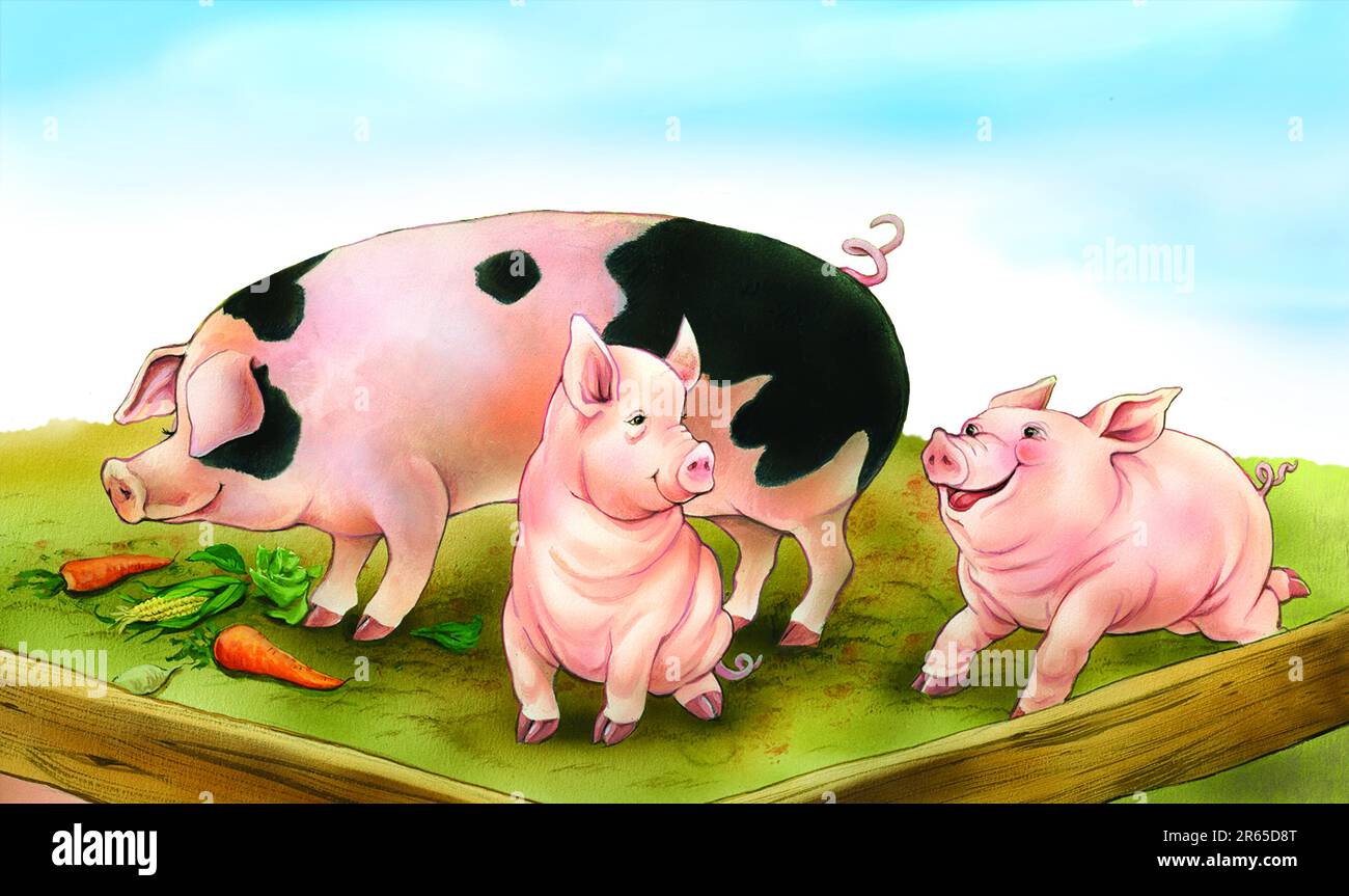 Playful piglets with mum hi-res stock photography and images - Alamy