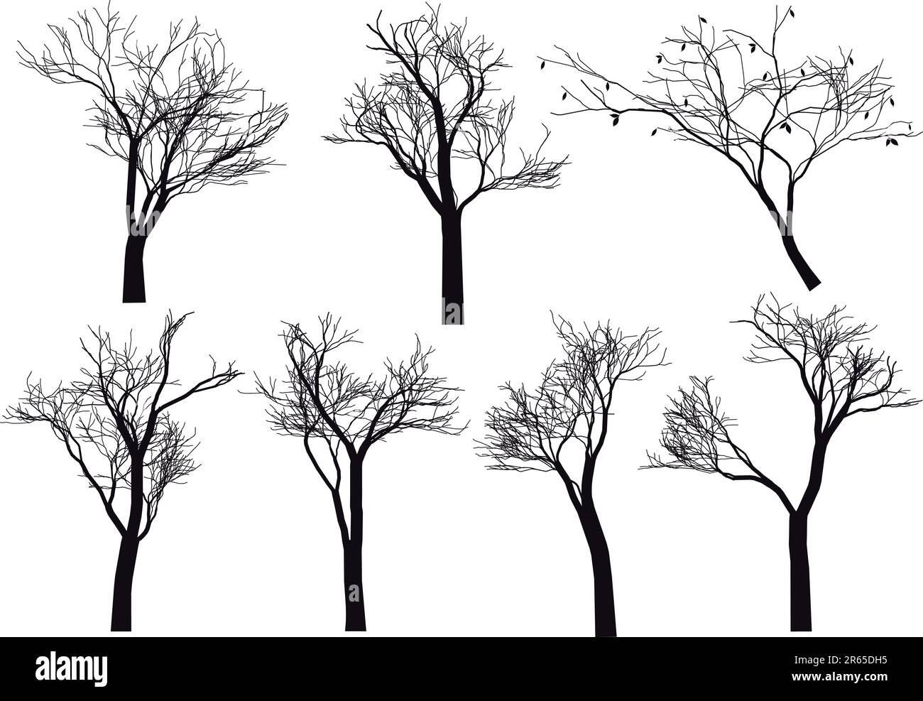 set of detailed tree silhouettes, vector Stock Vector Image & Art - Alamy