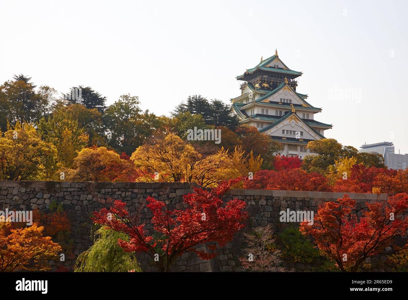 Osaka Castle in autumn Stock Photo - Alamy