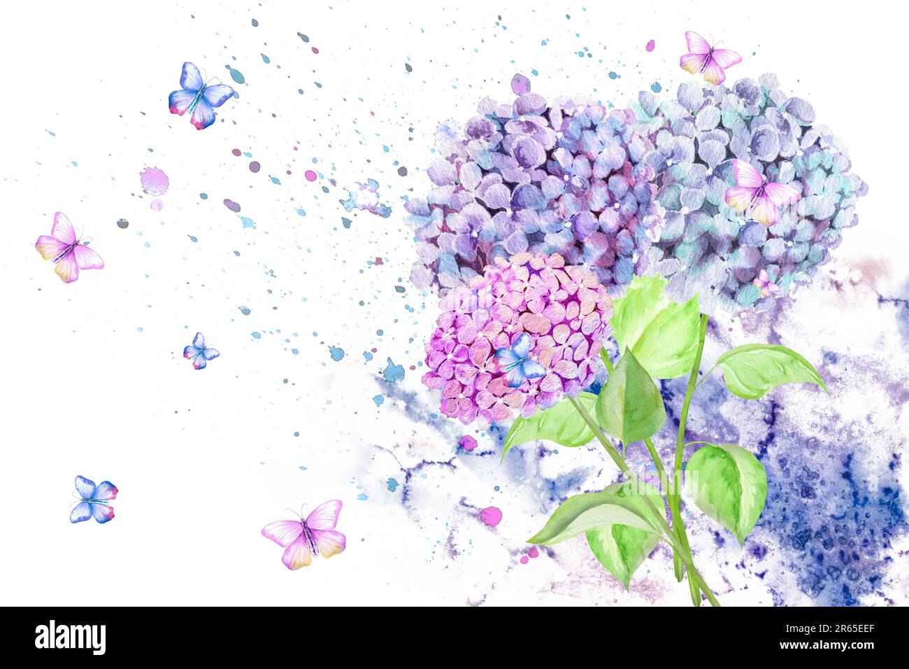 Watercolor drawing of a beautiful bouquet of hydrangeas and butterflies ...