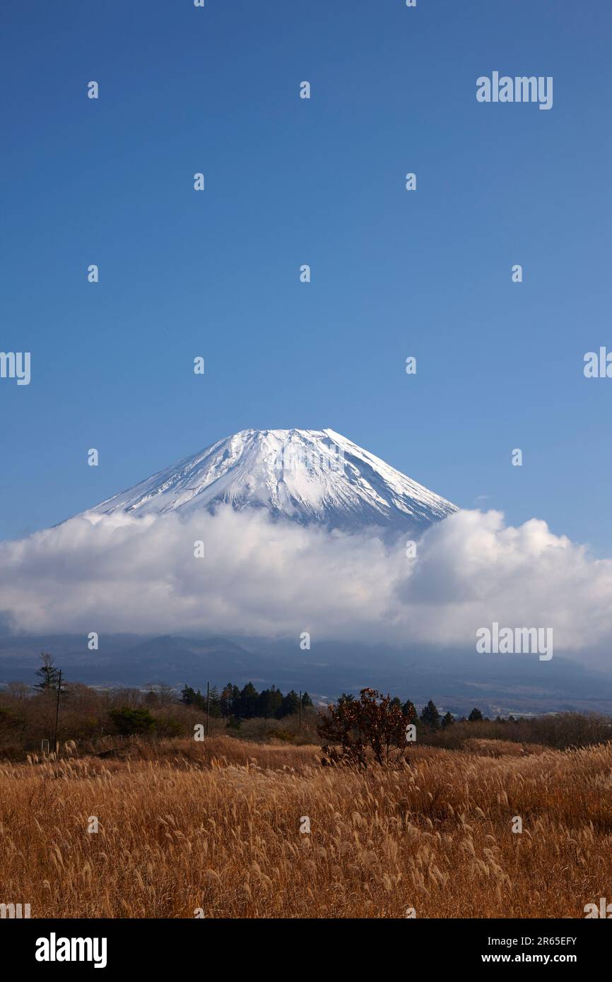 Fuji from Asagirikogen Stock Photo - Alamy