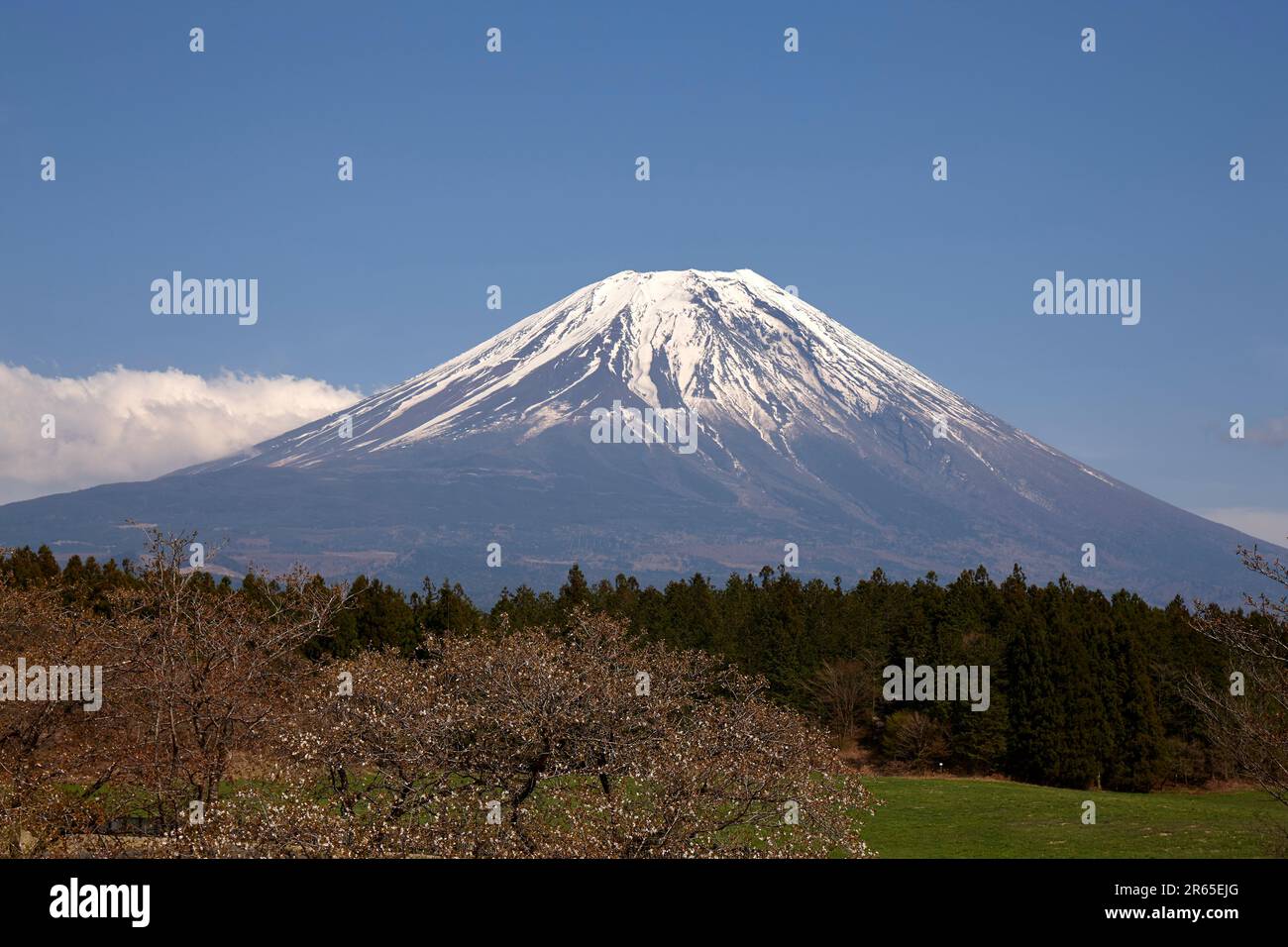 Fuji from Asagirikogen Stock Photo - Alamy