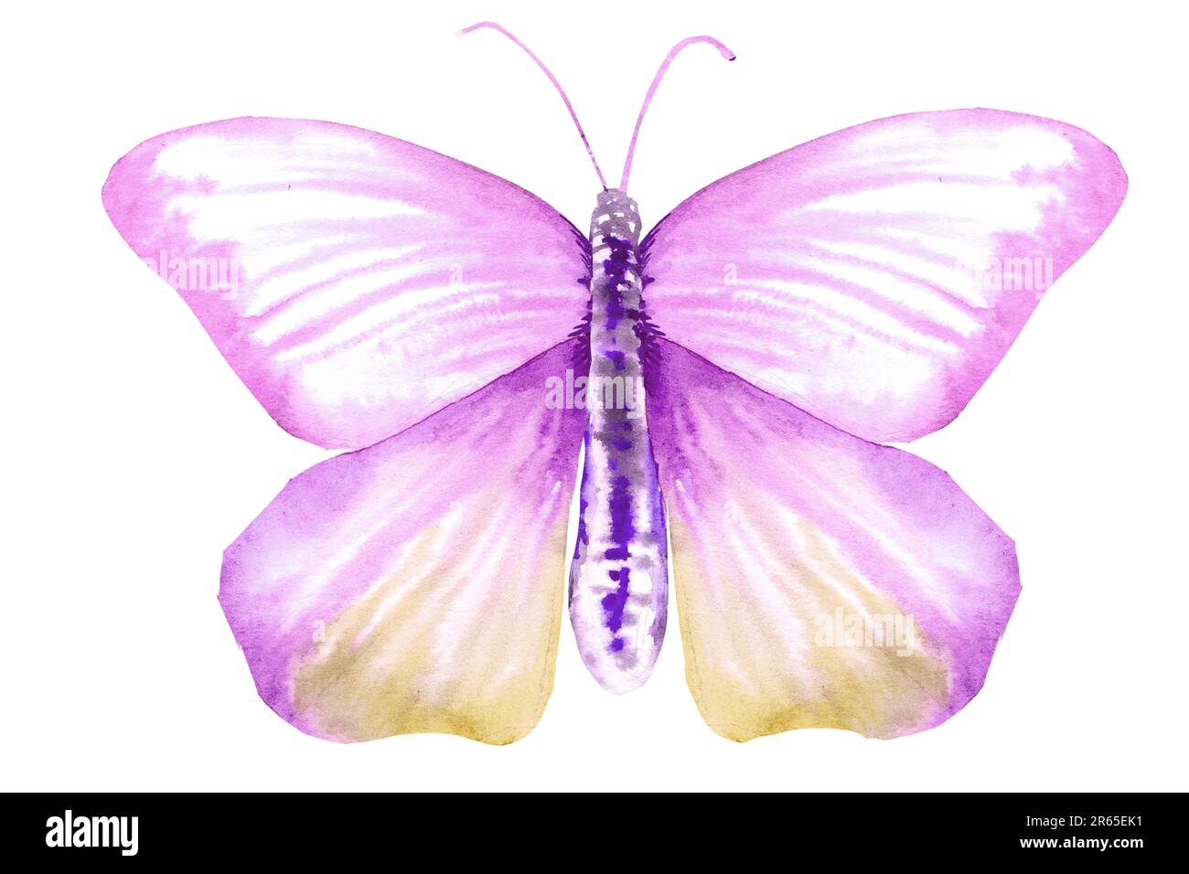 Butterfly watercolor illustration. Cute butterfly for postcards, covers ...