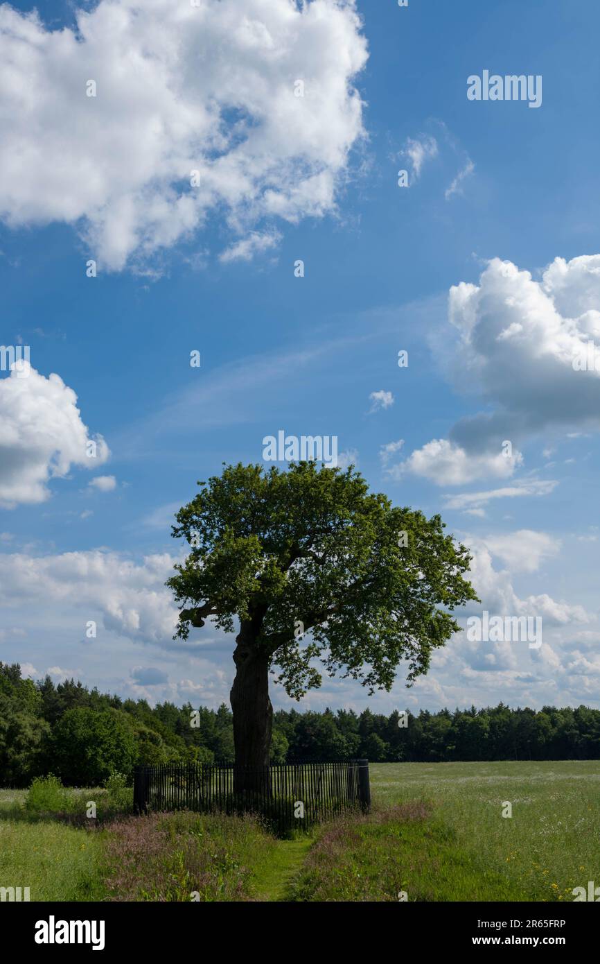 Boscobel House and the Royal Oak, Kiddemore Green United Kingdom ...