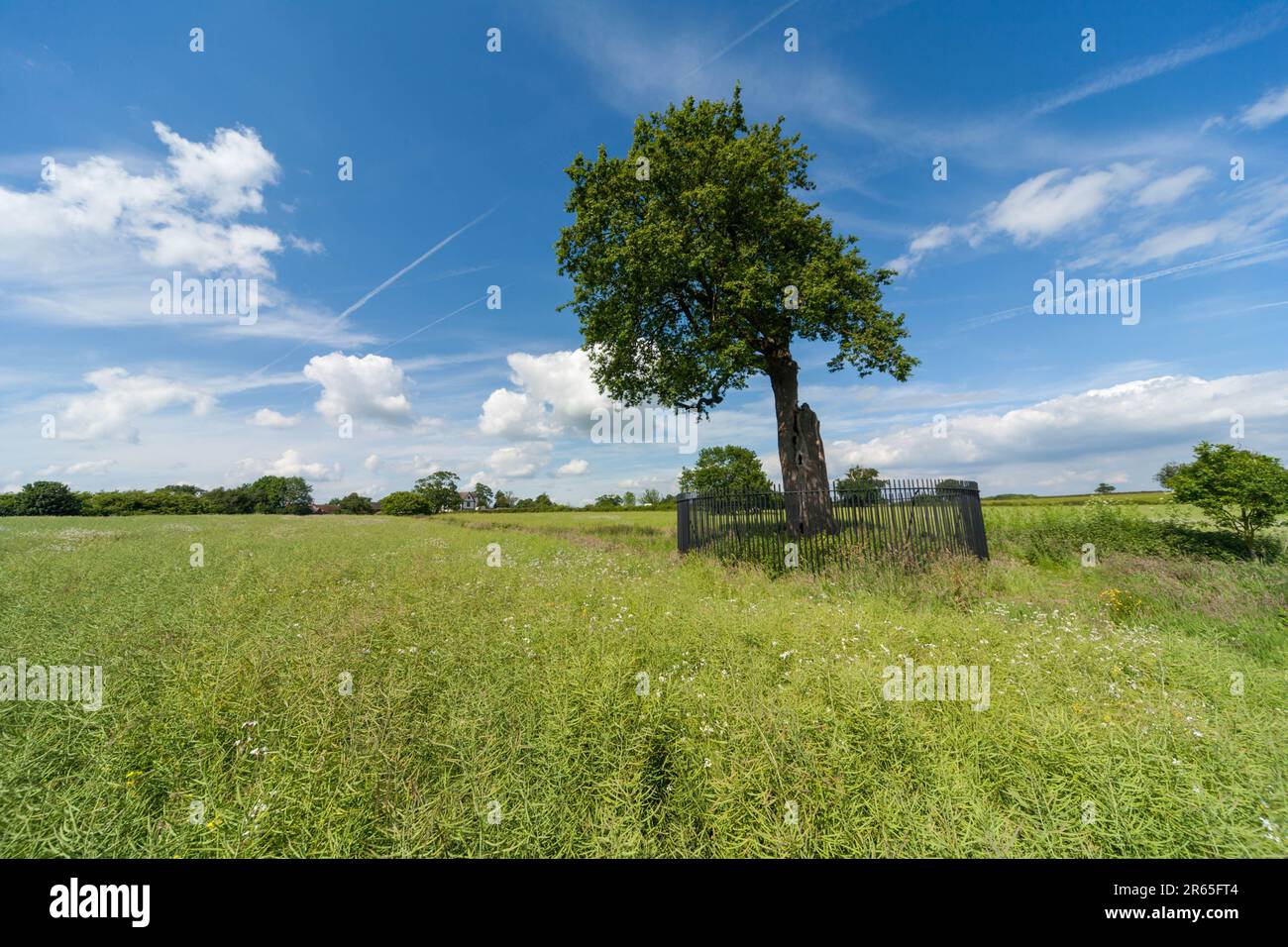 Boscobel House and the Royal Oak, Kiddemore Green United Kingdom ...