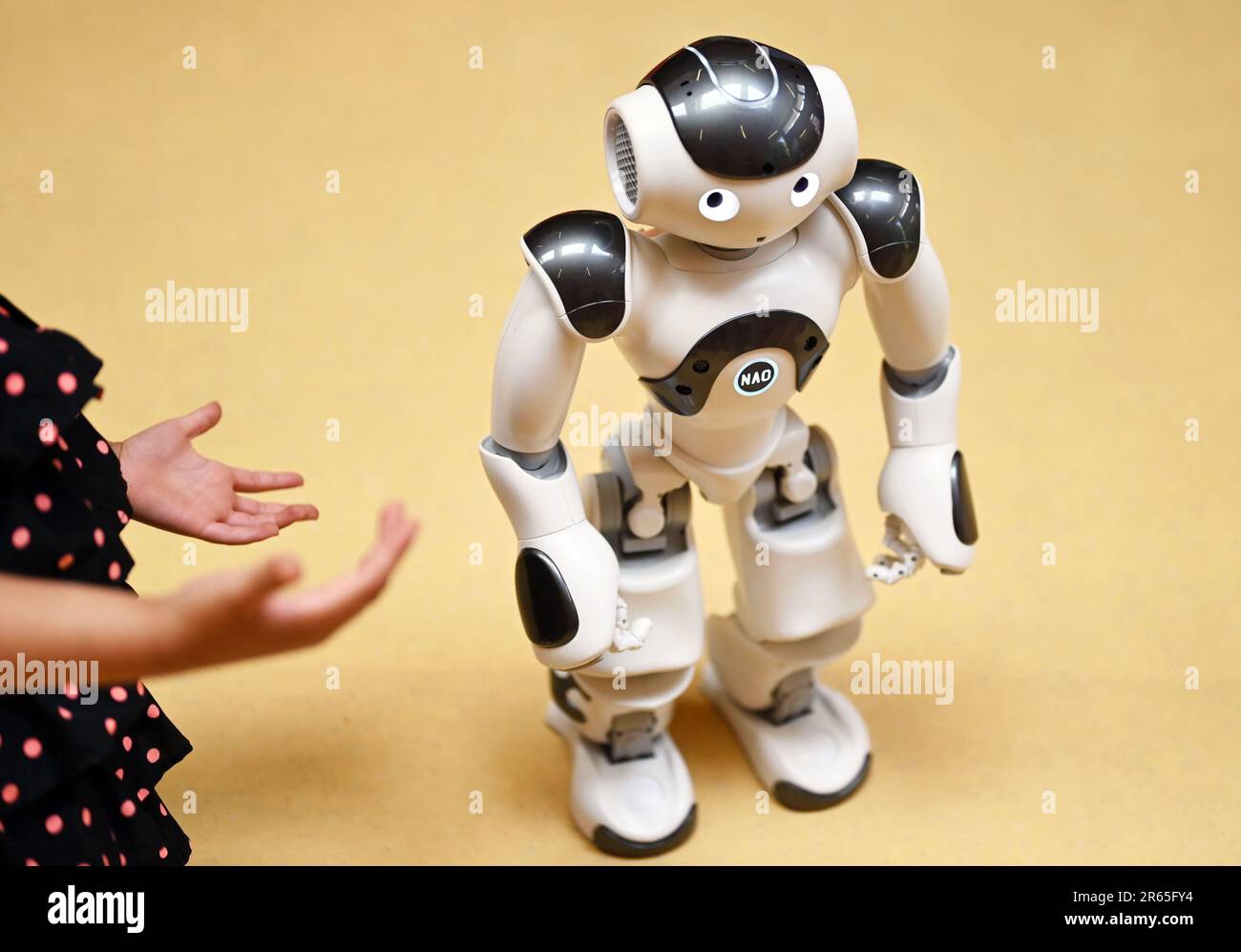 Karlsruhe, Germany. 07th June, 2023. The humanoid robot "NAO" is ...