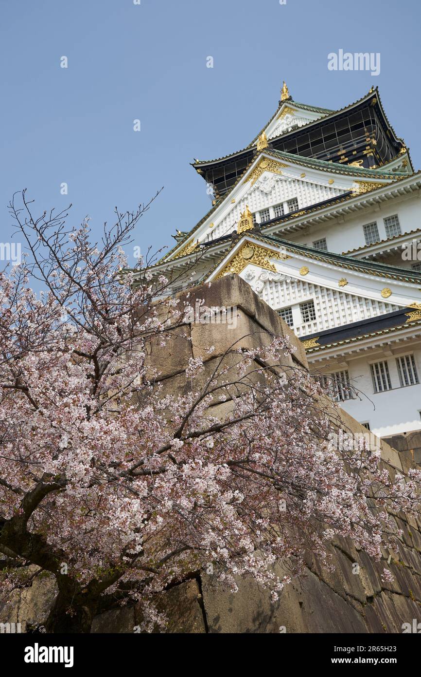 Castle arrangement hi-res stock photography and images - Alamy