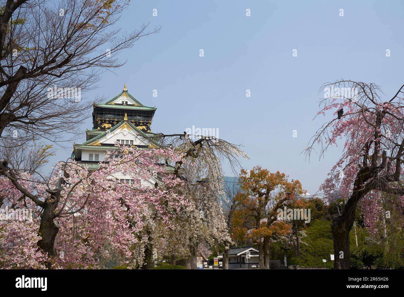 Osaka Castle in spring Stock Photo - Alamy
