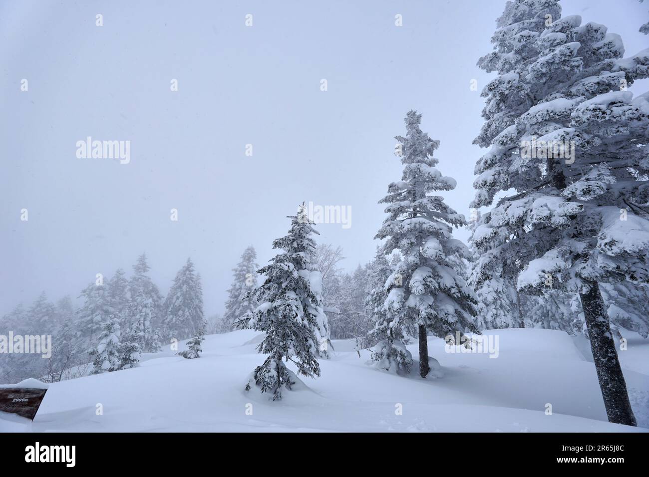 Winter aerial panorama northern hi-res stock photography and images - Alamy