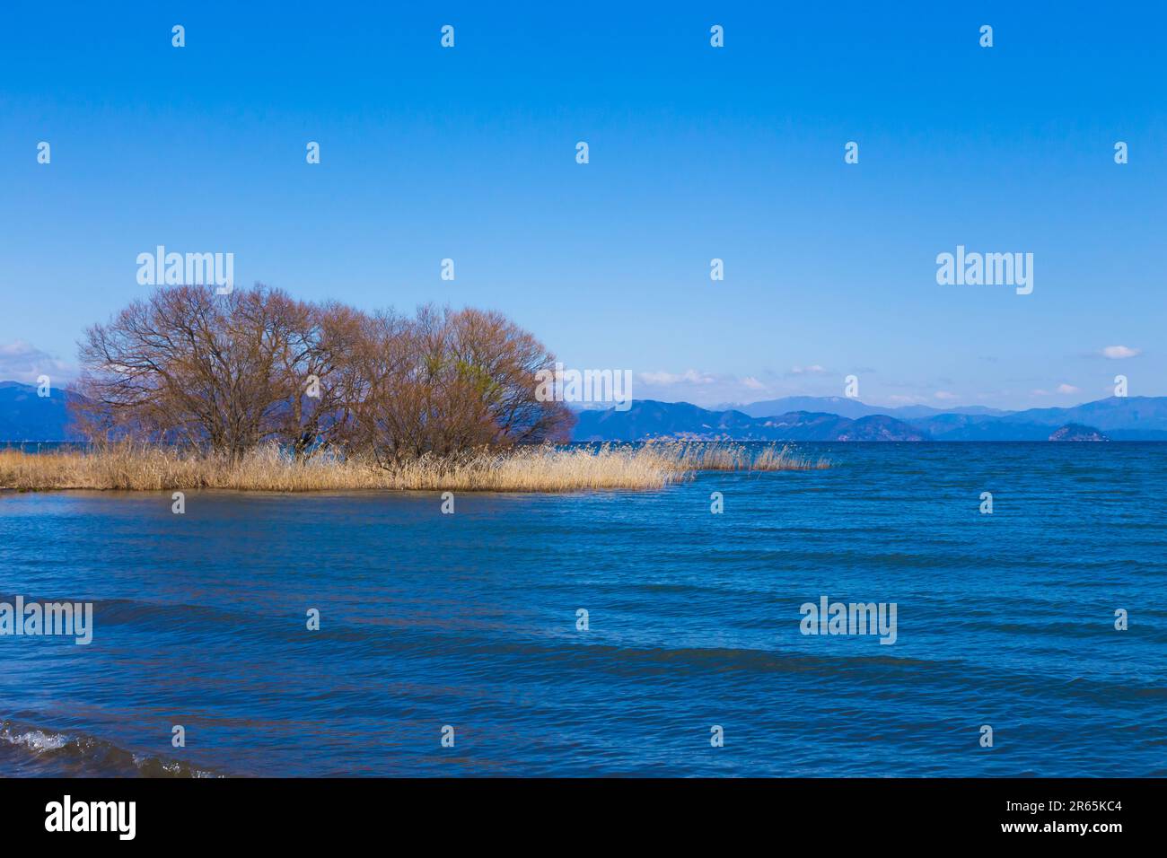 Refreshing spring day lake hi-res stock photography and images - Alamy