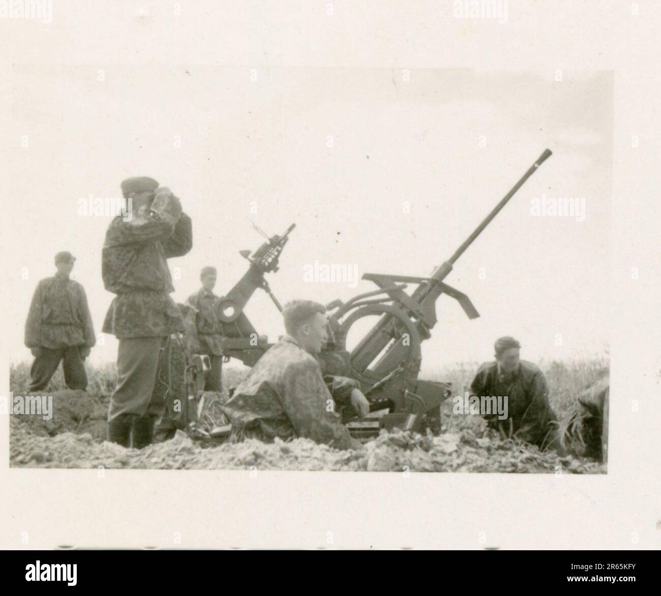 SS Photographer Baumann, Totenkopf Division, Russia 1941 Wheeled ...