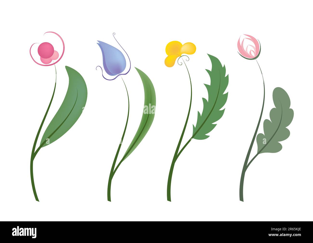 Four flowers on the white background. Vector Stock Vector Image & Art ...
