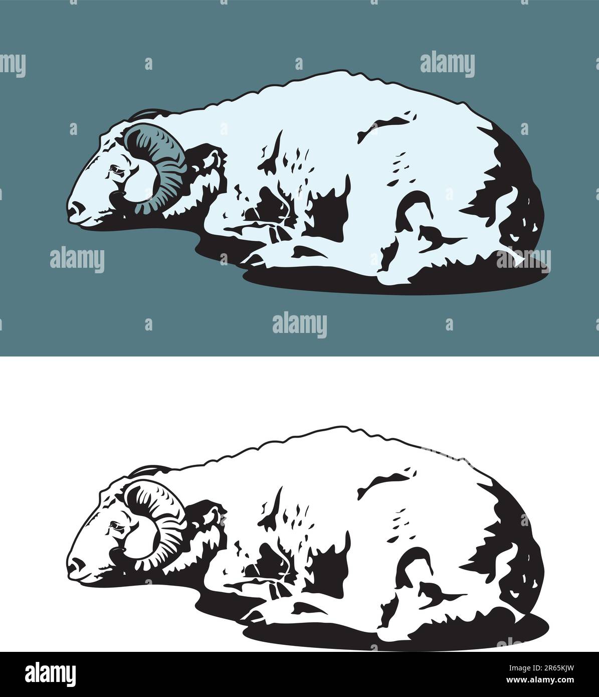black and white illustration of a sheep lying curled horns Stock Vector ...