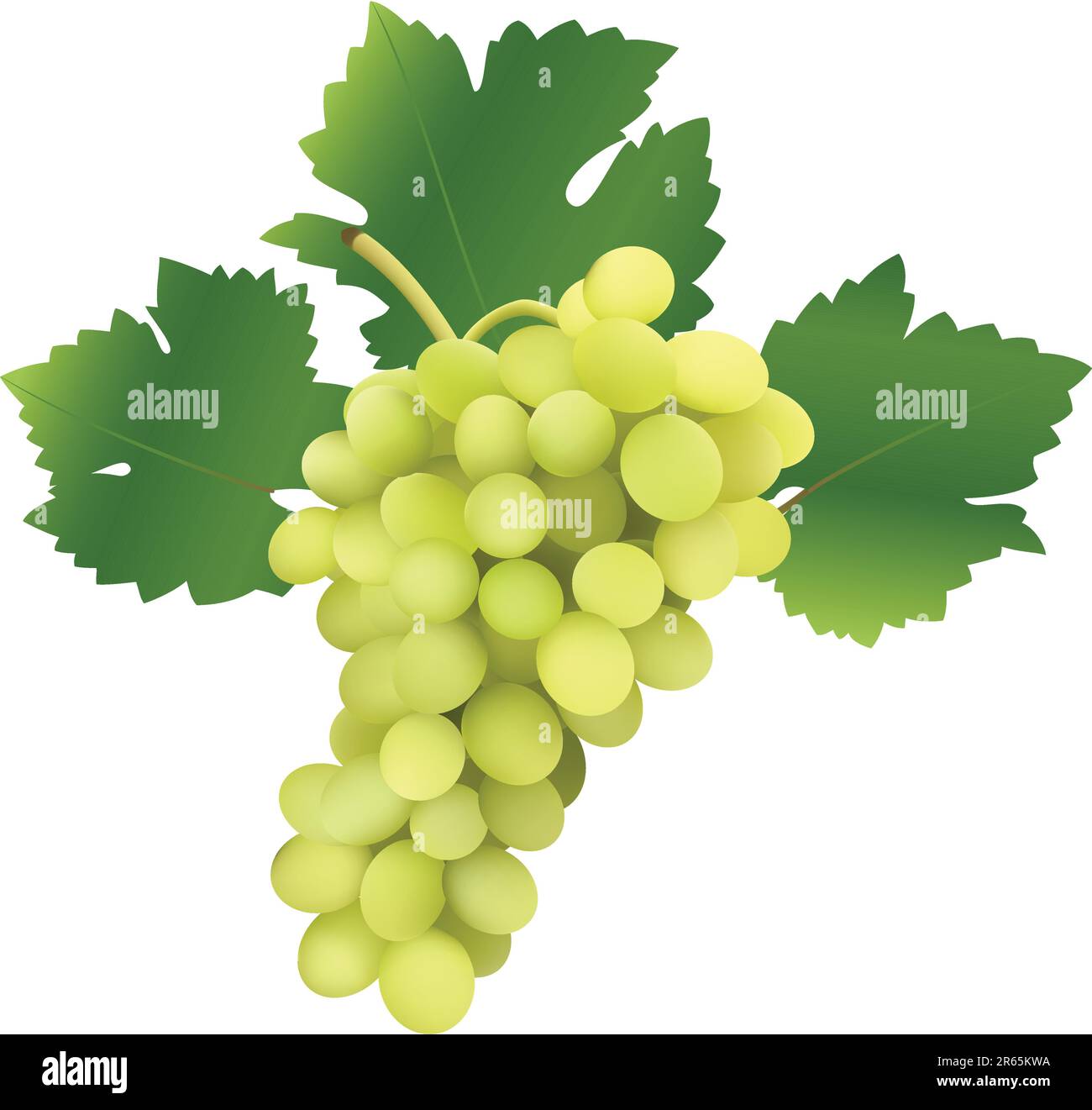 Lavender photo Stock Vector Images - Alamy