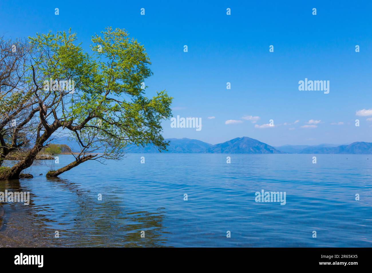 Lake Biwa in Spring Stock Photo - Alamy