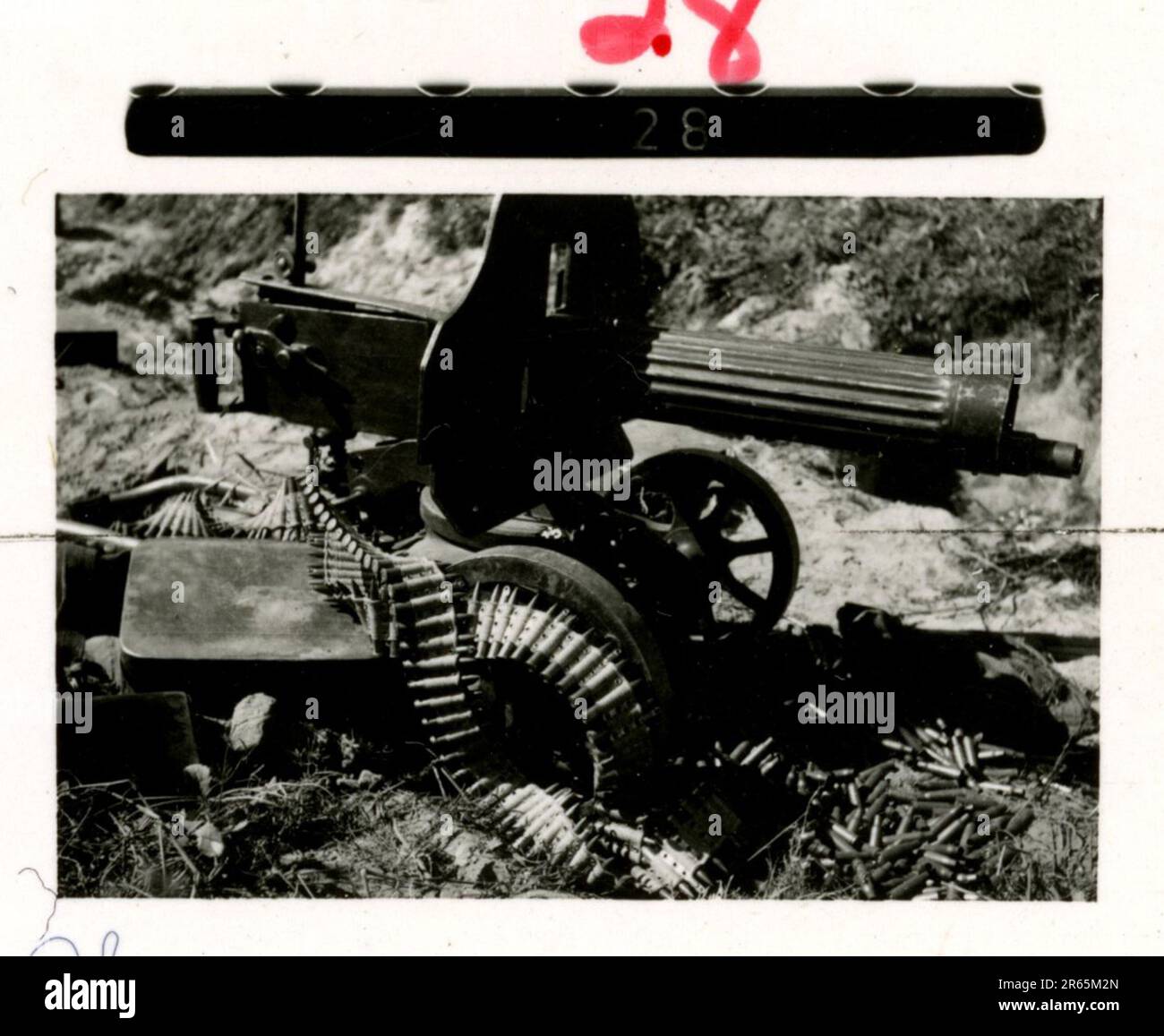 SS Photographer Baumann, Totenkopf Division, Russia 1941 Wheeled ...