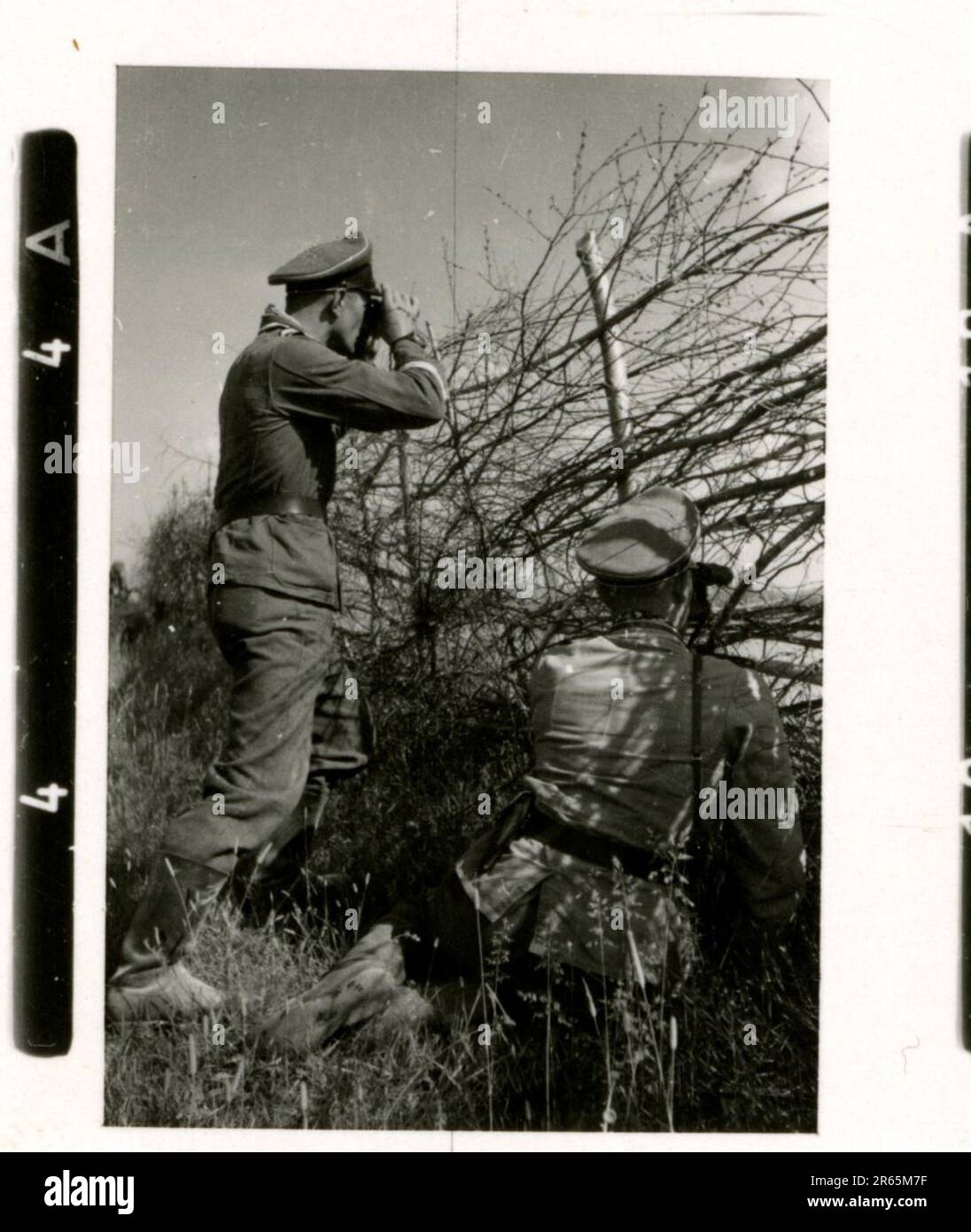 SS Photographer Baumann, Totenkopf Division, Russia 1941 Wheeled ...