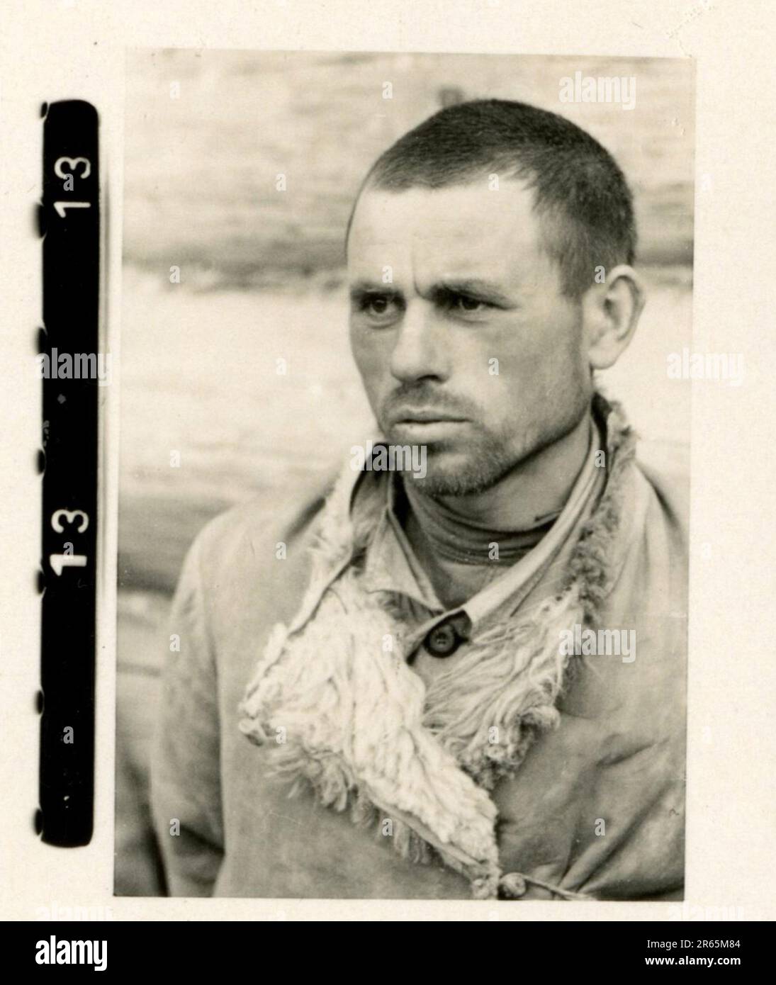 SS Photographer Baumann, Totenkopf Division, Russia 1941 Wheeled ...