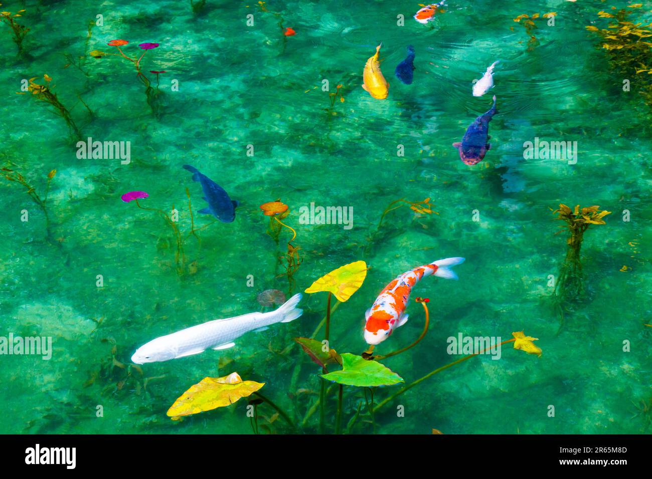 Monet's pond seki hi-res stock photography and images - Alamy