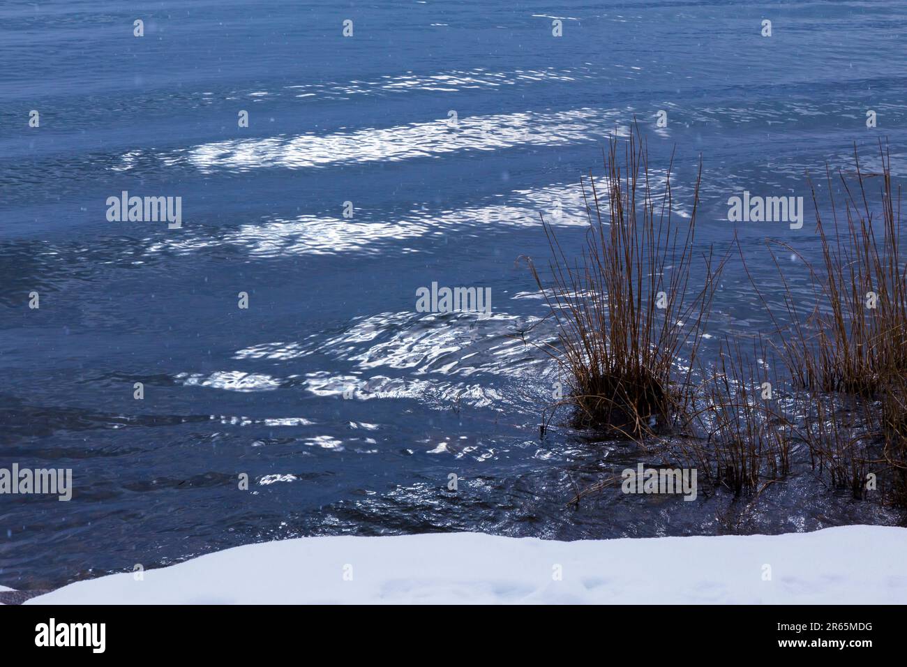 Lakeside in winter Stock Photo - Alamy