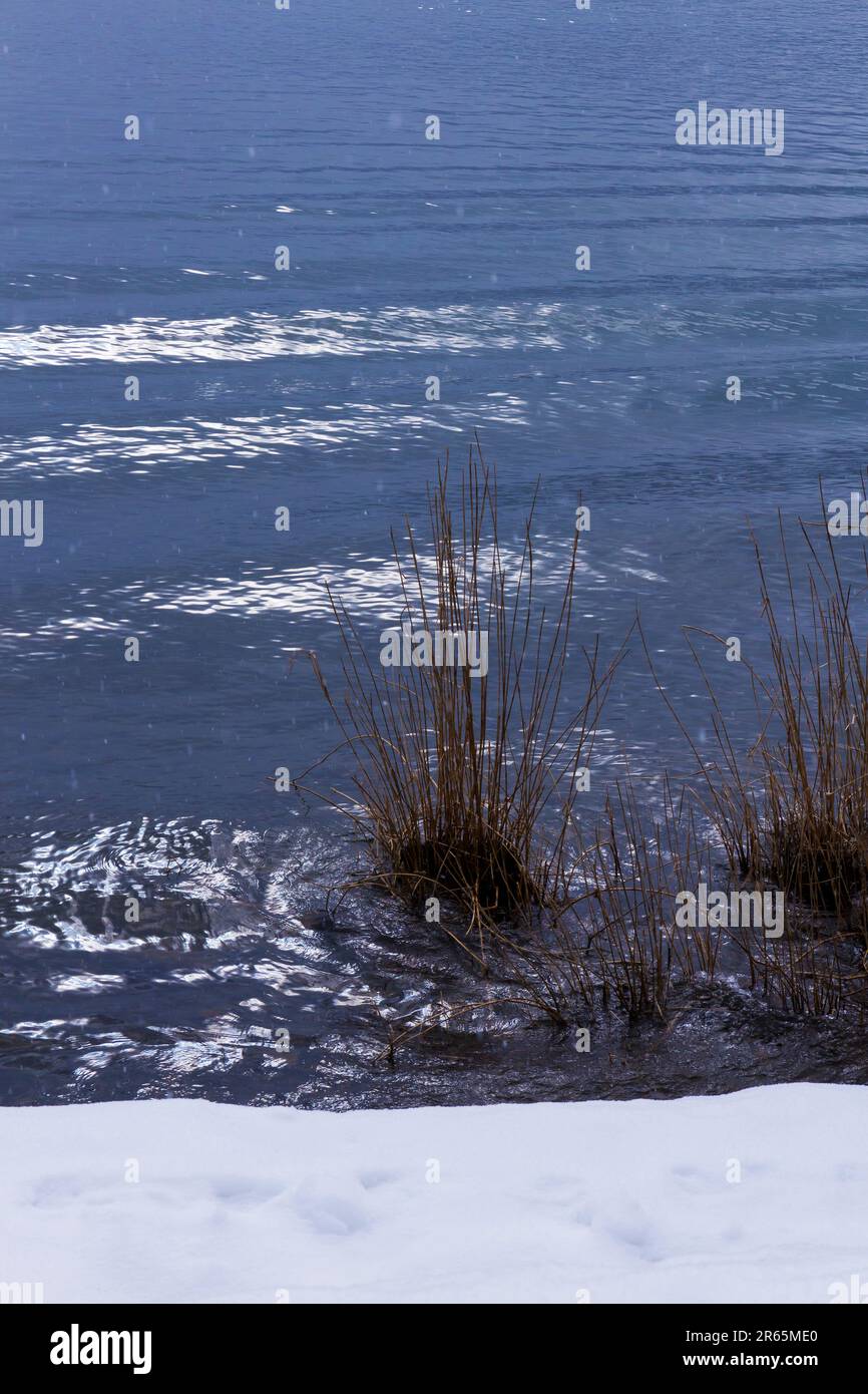 Lakeside in winter Stock Photo - Alamy
