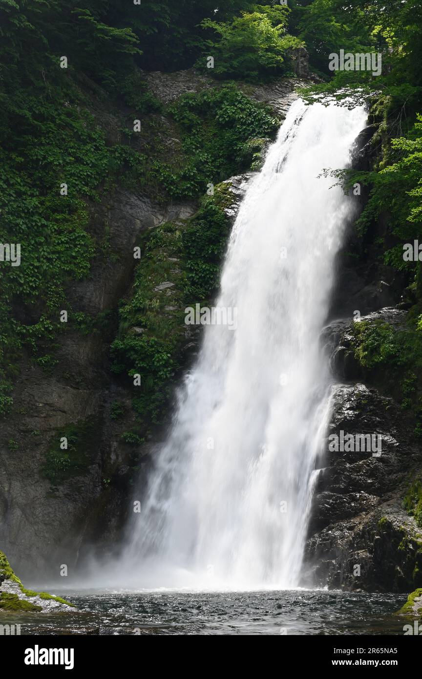 Akiu miyagi hi-res stock photography and images - Alamy