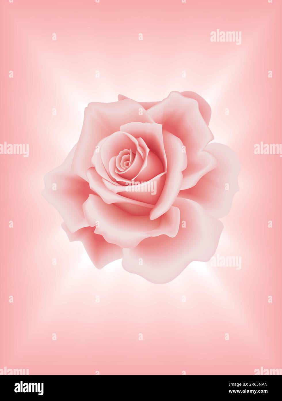 Light rose garden Stock Vector Images - Alamy