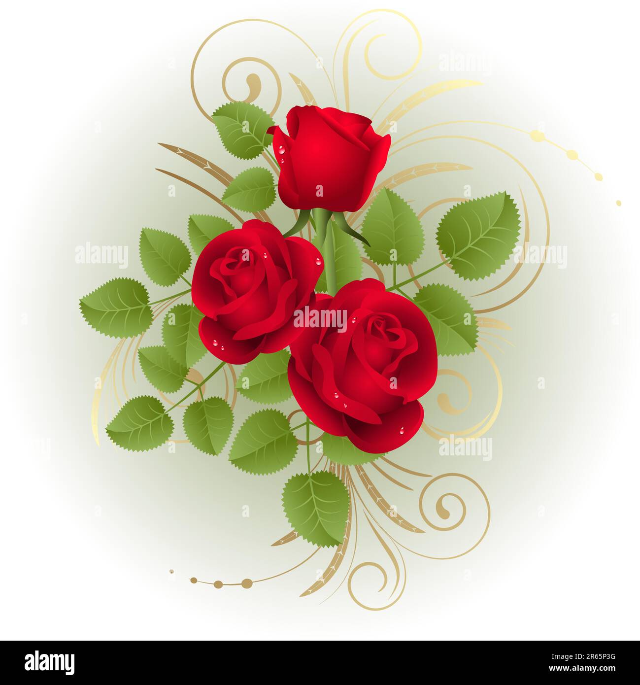 Three red roses on a white background Stock Vector Image & Art - Alamy