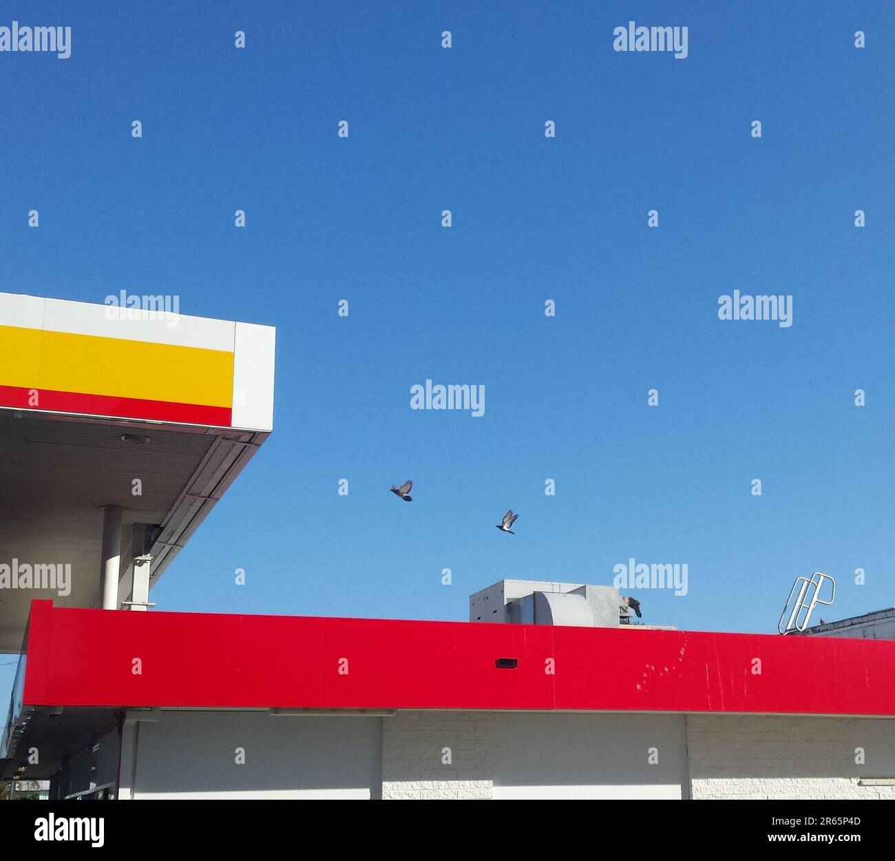 A landscape picture of birds flying over an orange and red gas station ...
