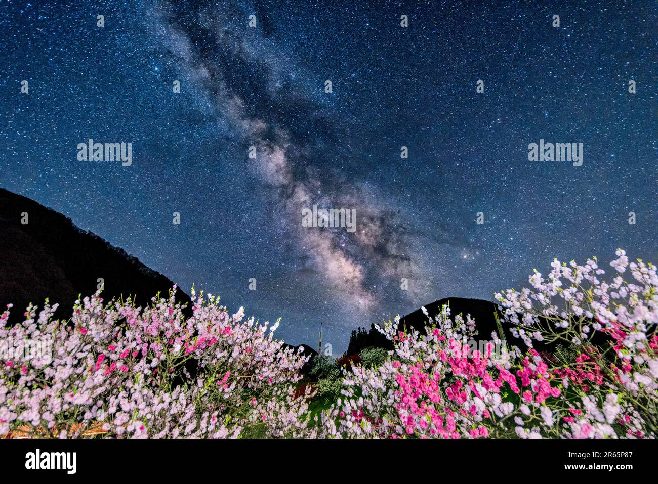 Hanamomo no Sato and the Milky Way Stock Photo - Alamy