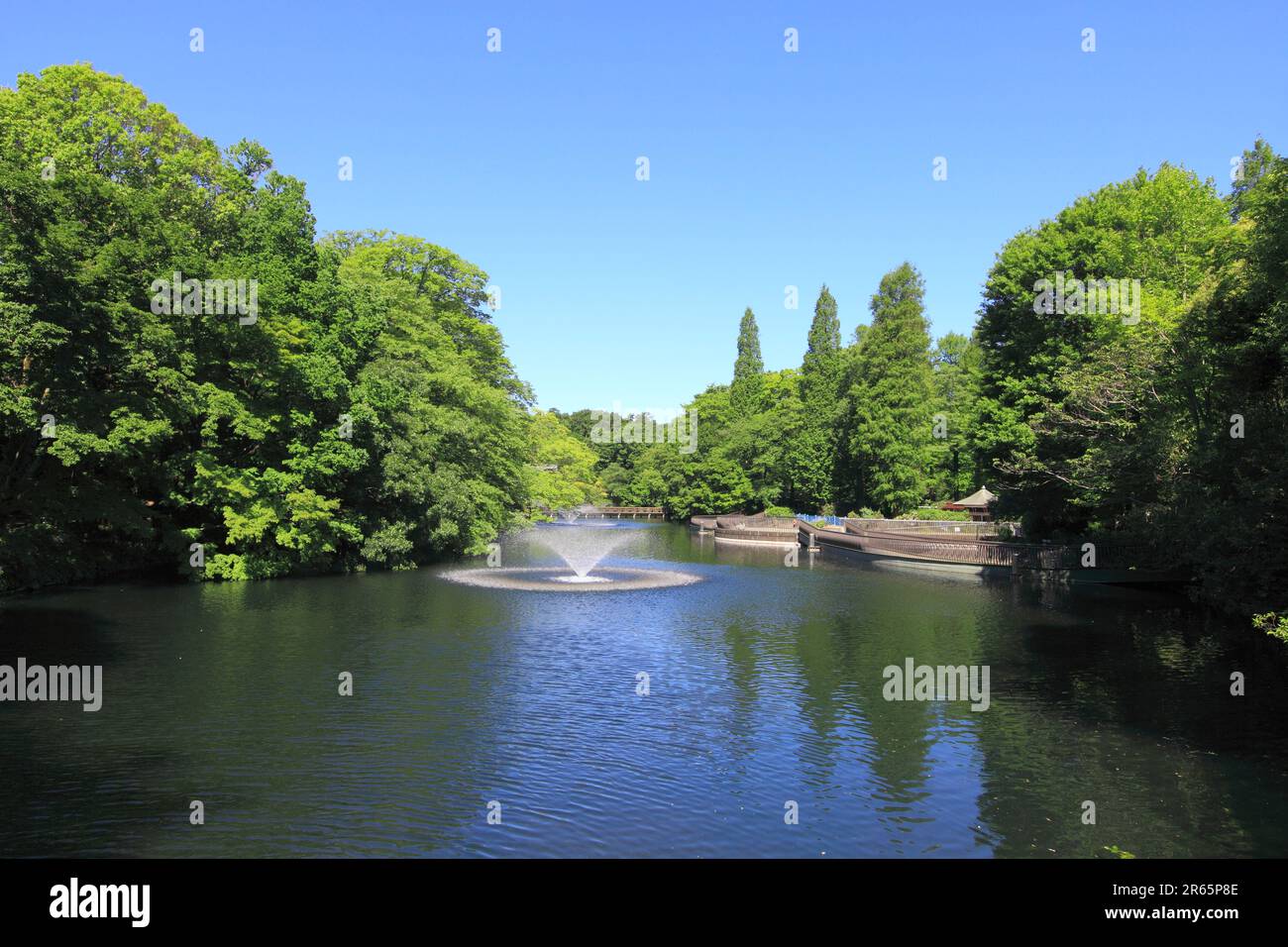 Keio inokashira line hi-res stock photography and images - Alamy