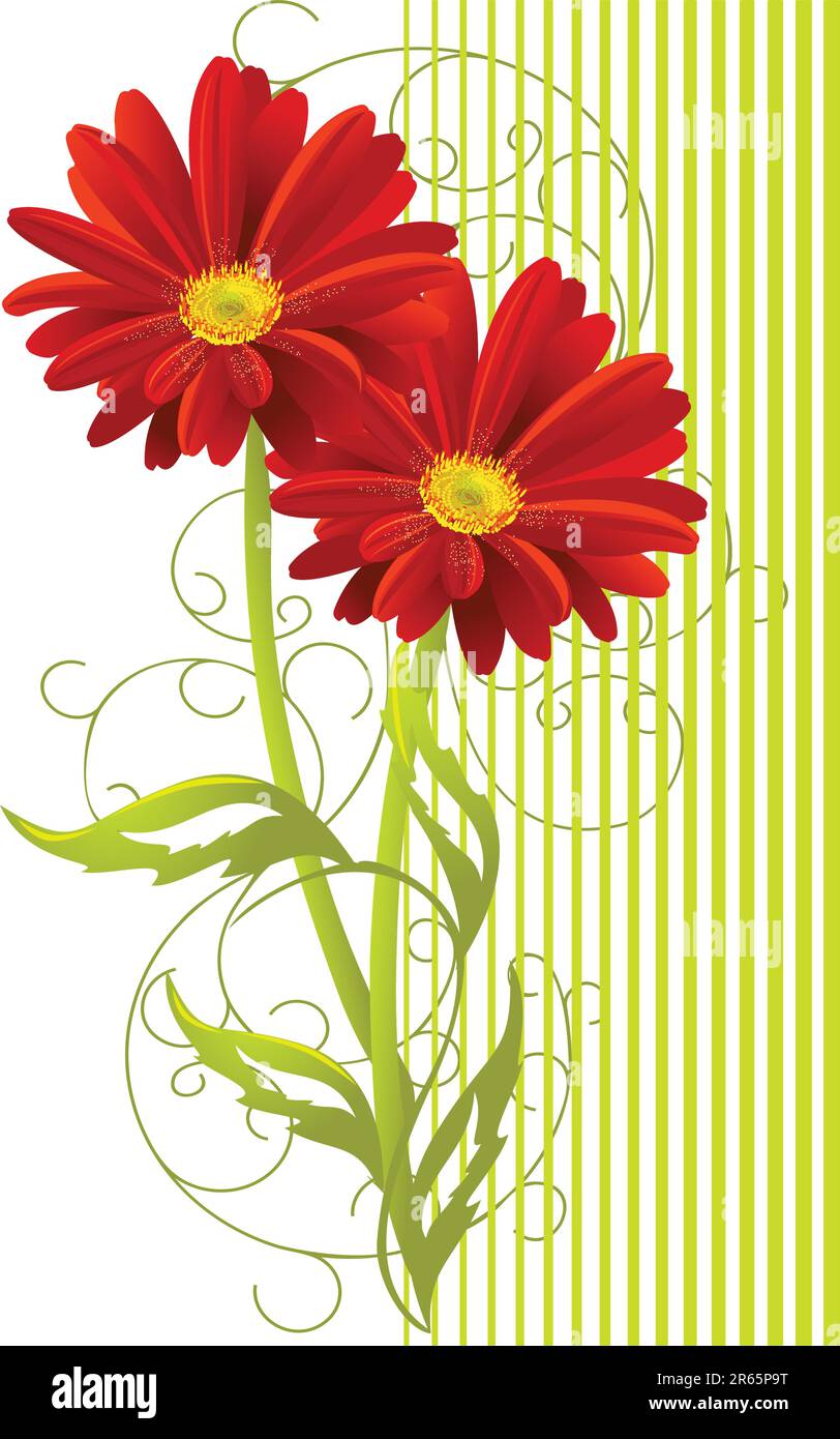 Gerbera Daisy Border Clip Art