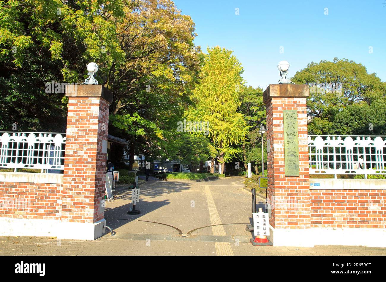 Tokyo University of the Arts Stock Photo - Alamy