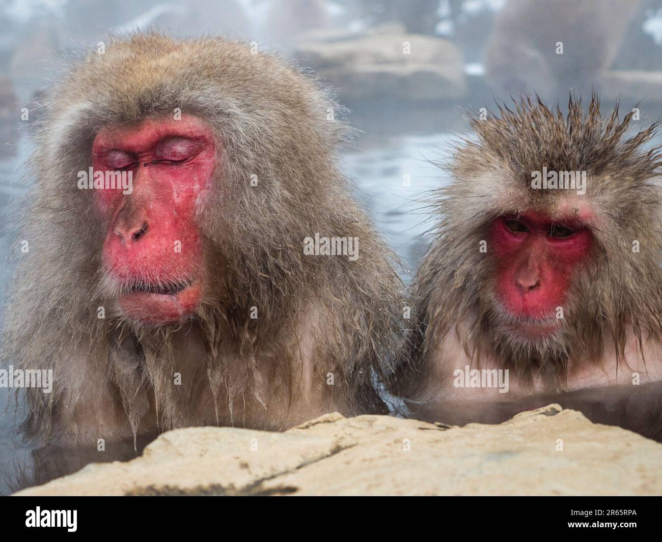 Two hot springs hi-res stock photography and images - Alamy