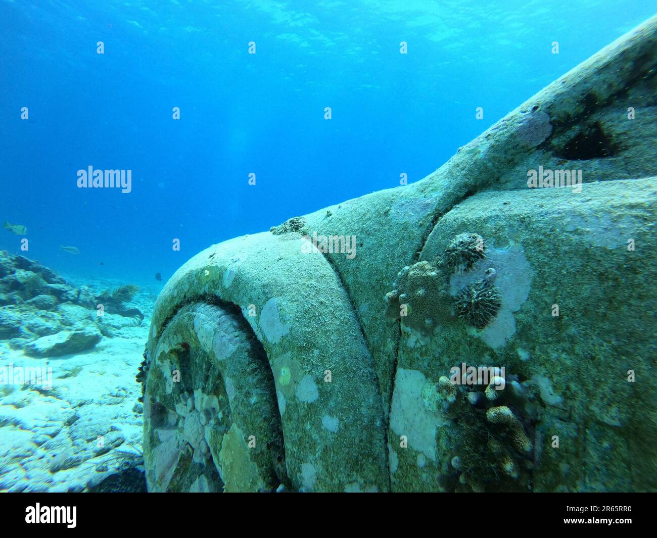 An underwater scene of a sunken car in the depths of the ocean floor ...