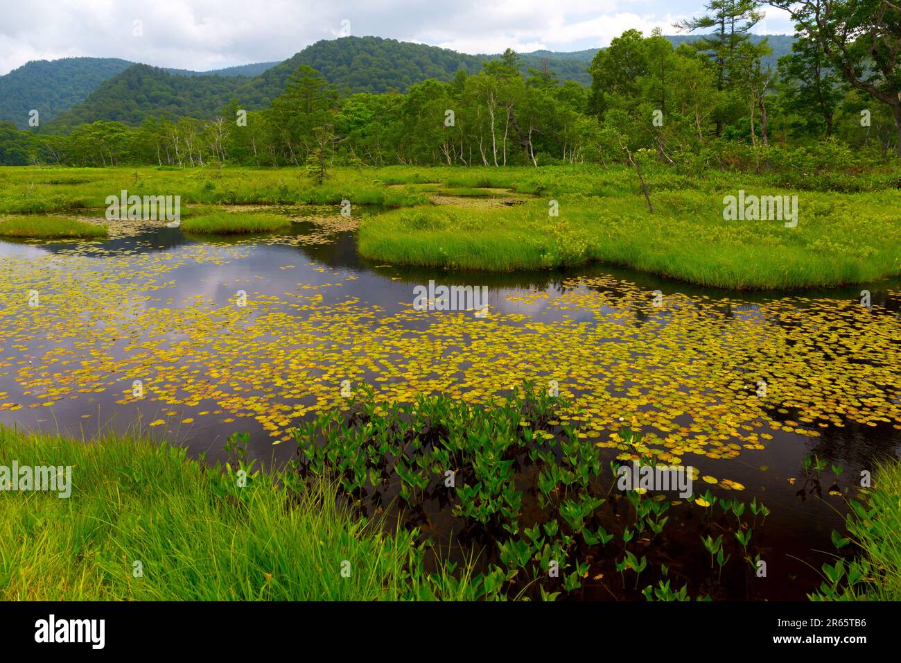 Oze national park hi-res stock photography and images - Alamy