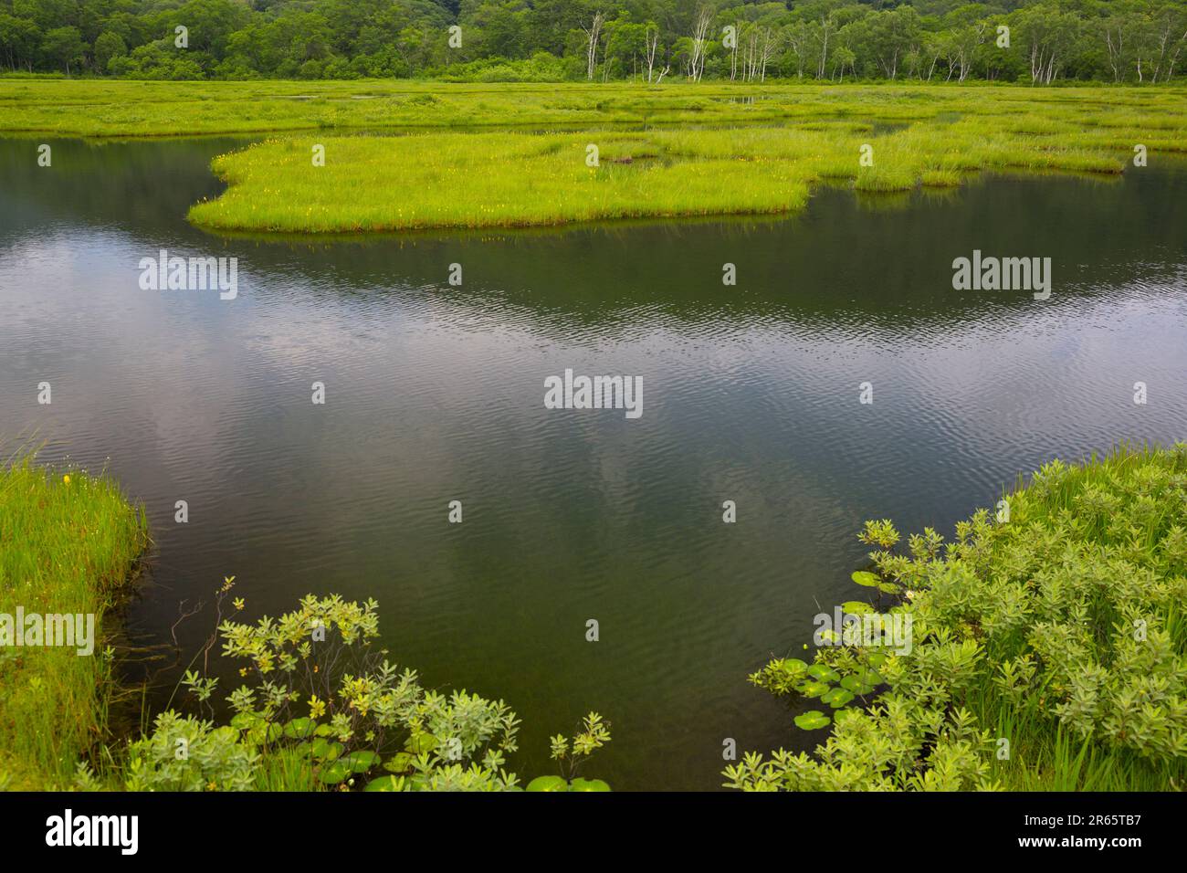 Oze national park hi-res stock photography and images - Alamy