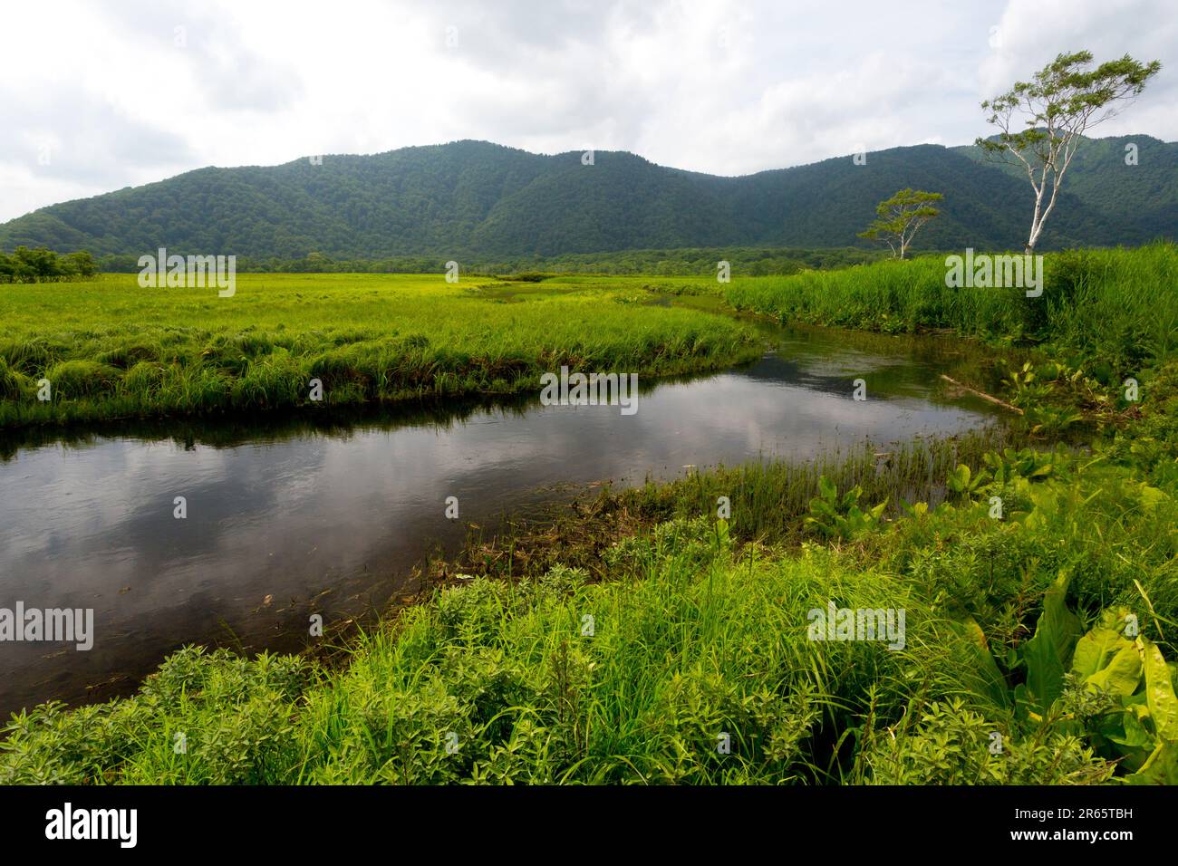 Oze national park hi-res stock photography and images - Alamy