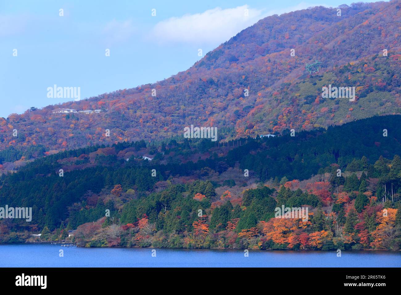 Lake Ashinoko in autumn tinted with red leaves Stock Photo - Alamy