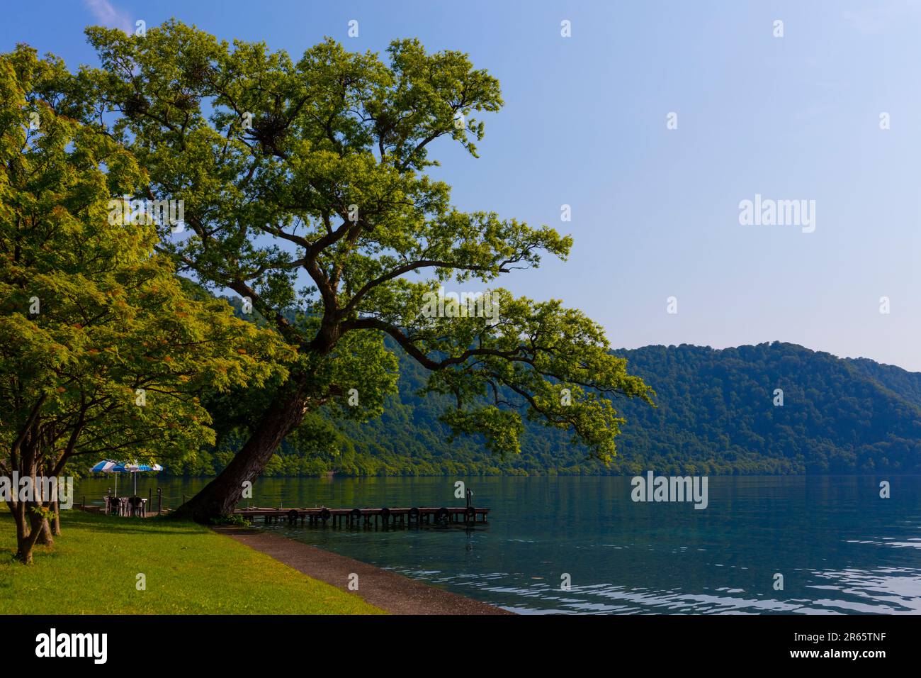 Lake Towada in early summer Stock Photo - Alamy