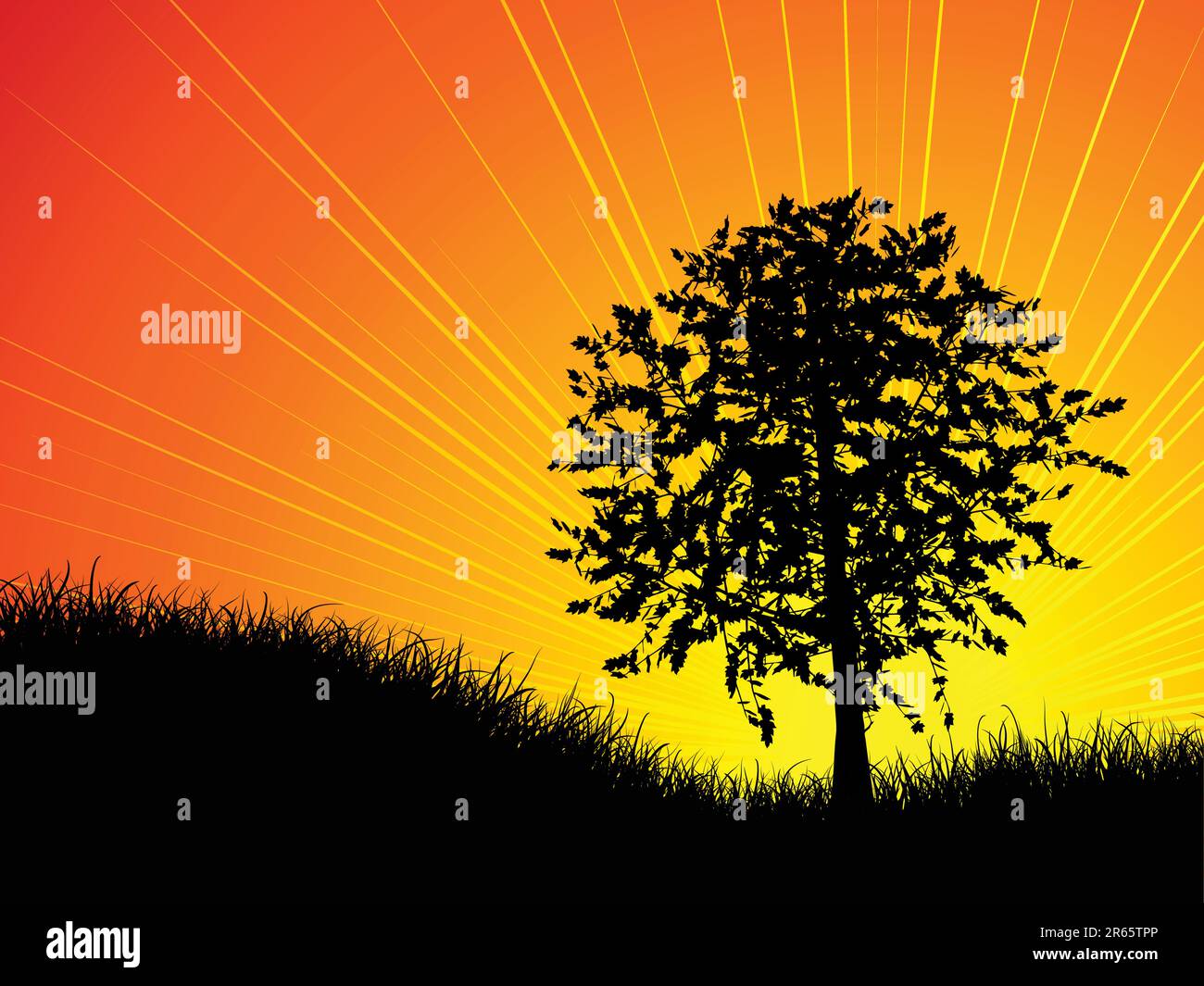 Sunrise behind a tree Stock Vector Images - Alamy