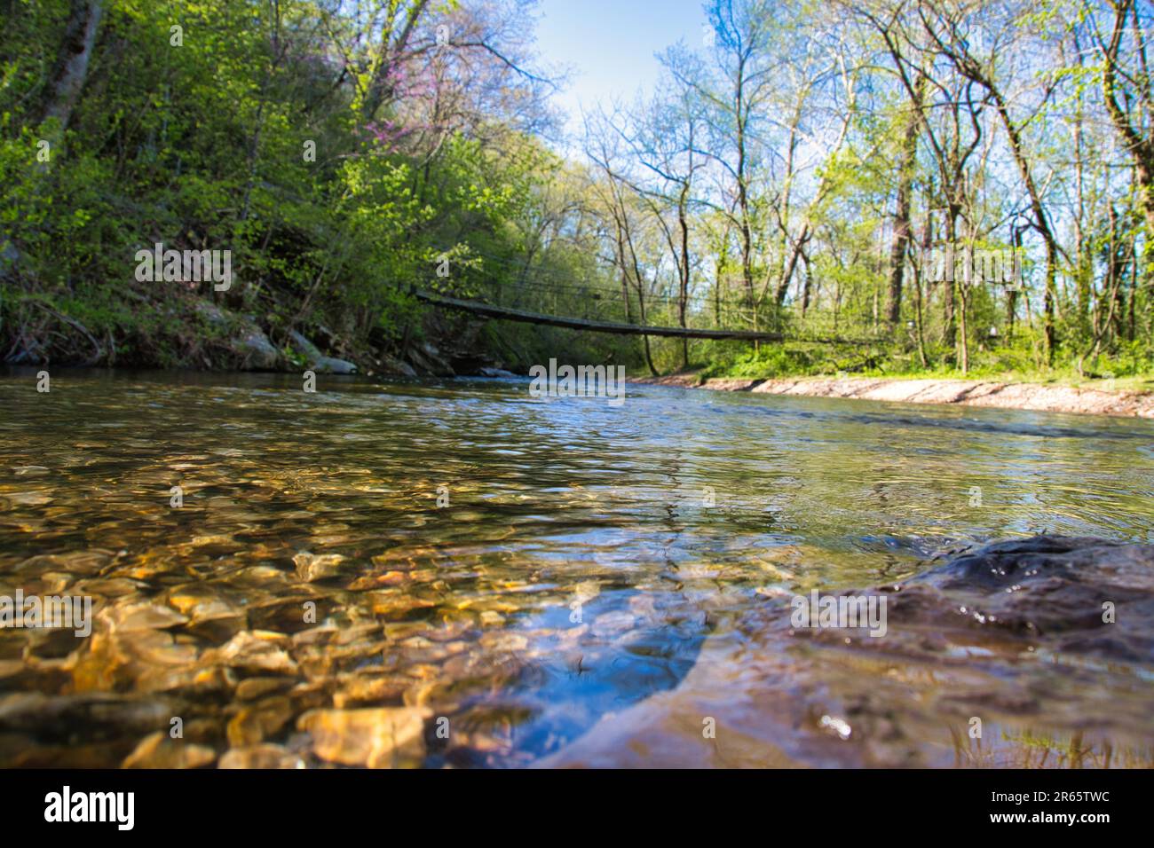Creekside view hi-res stock photography and images - Alamy