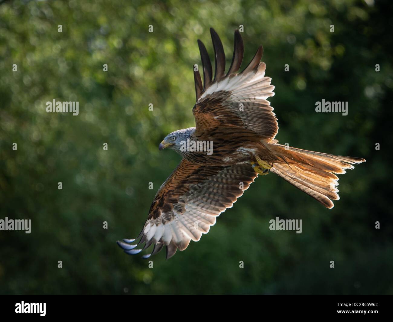 Full colours hi-res stock photography and images - Alamy