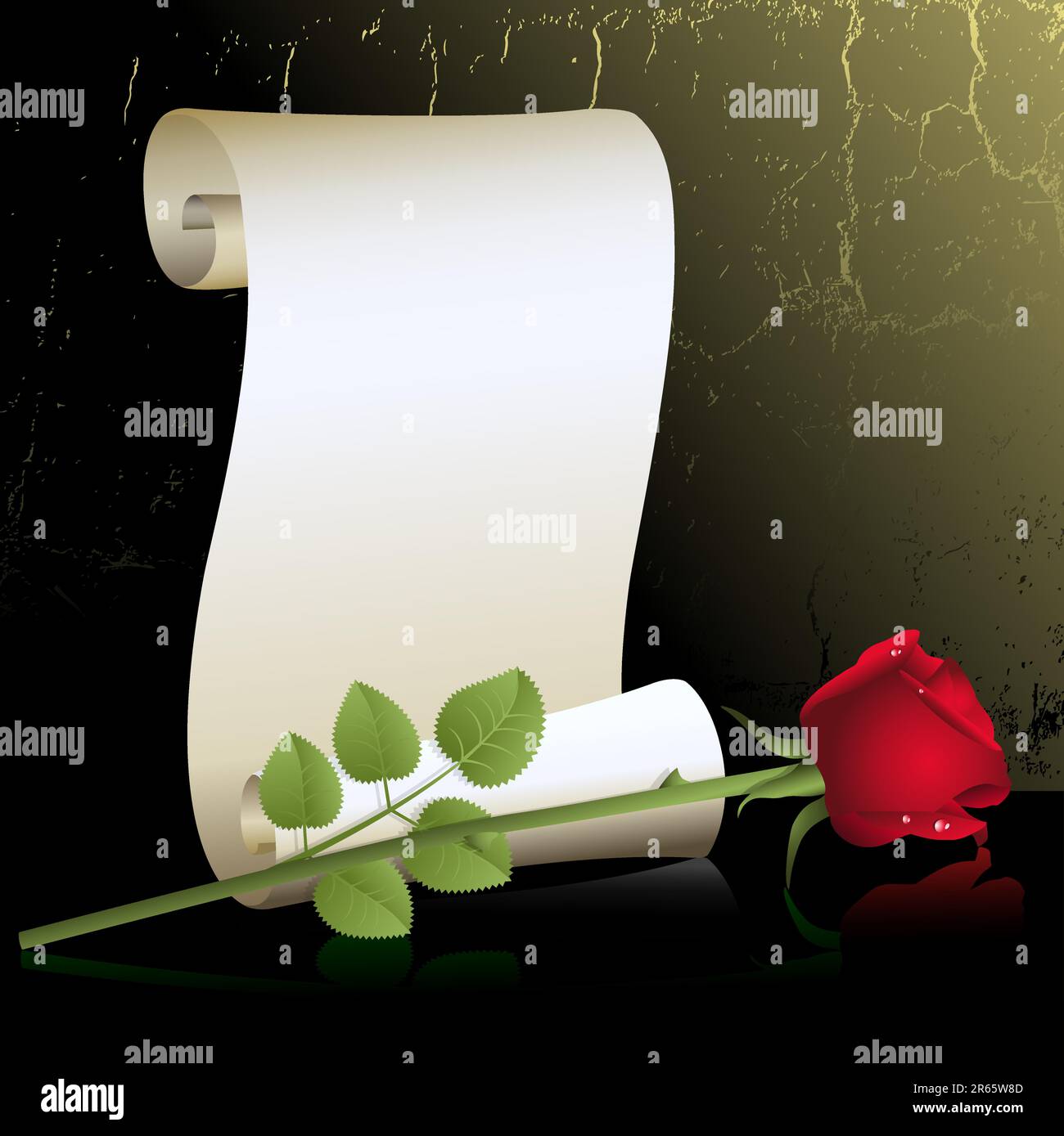 A single red rose with roll of paper Stock Vector Image & Art - Alamy